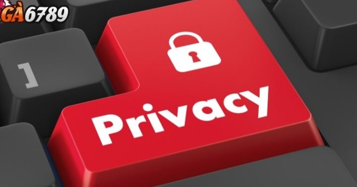 Tại sao cần phải đọc hiểu quyền riêng tư ga6789? - PROTOCOL